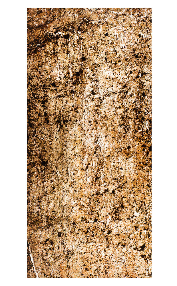 Translucent – Veneer Slate